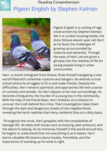 Pigeon English by Stephen Kelman Reading Comprehension Worksheet ...