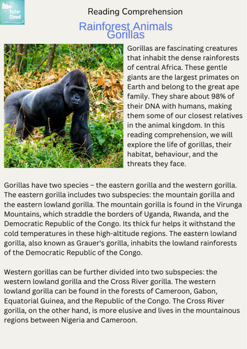 Rainforest Bundle | Teaching Resources