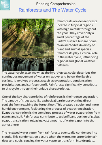 Rainforest Bundle | Teaching Resources