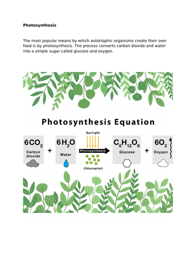 AP Biology Photosynthesis 2 Labs, Reading and Multiple Choice ...