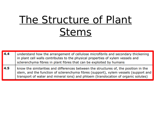 Plant Stems & Tissue Fibres - Xylem & Sclerenchyma - EDEXCEL IAL ...