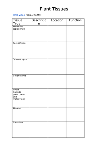 Plant Stems & Tissue Fibres - Xylem & Sclerenchyma - EDEXCEL IAL ...