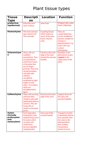 Plant Stems & Tissue Fibres - Xylem & Sclerenchyma - EDEXCEL IAL ...