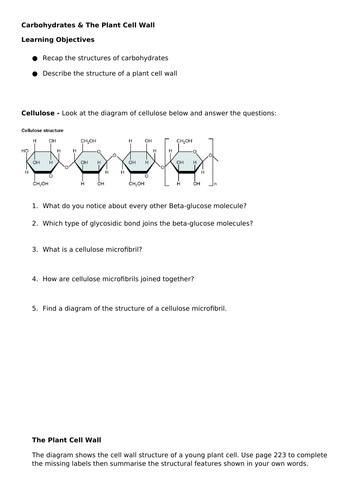 Cellulose Structure & Plant Cell Walls - Edexcel IAS/IAL Biology - 4.2 ...