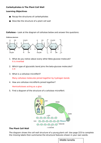 Cellulose Structure & Plant Cell Walls - Edexcel IAS/IAL Biology - 4.2 ...