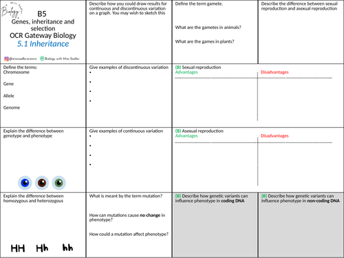 OCR Gateway Biology GCSE revision grid B5 Genes, Inheritance and ...