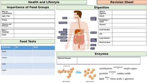 Year 8 - Revision Sheets | Teaching Resources