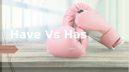 Have VS Has (Affirmative form) | Teaching Resources