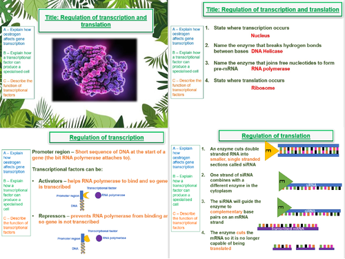 The control of gene expression - AQA A Level Biology (A2) - Section 8 ...