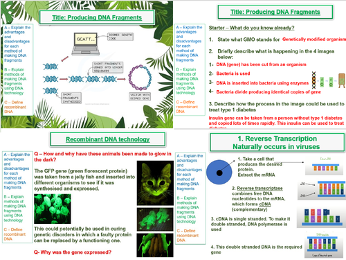 The control of gene expression - AQA A Level Biology (A2) - Section 8 ...