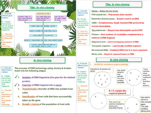 The control of gene expression - AQA A Level Biology (A2) - Section 8 ...