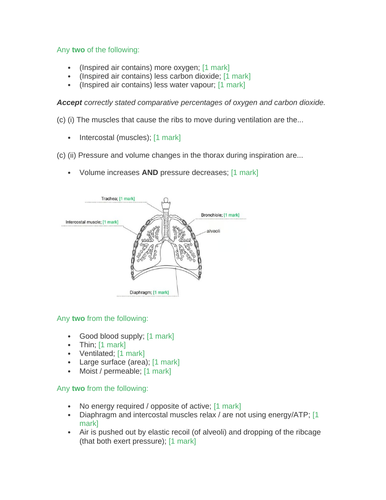 IGCSE CIE A3 Exam sheet - Respiration and Gas Exchange | Teaching Resources