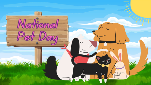 Pet Day | Teaching Resources