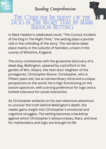 The Curious Incident of the Dog in the Night-Time by Mark Haddon Resource Bundle | Teaching ...
