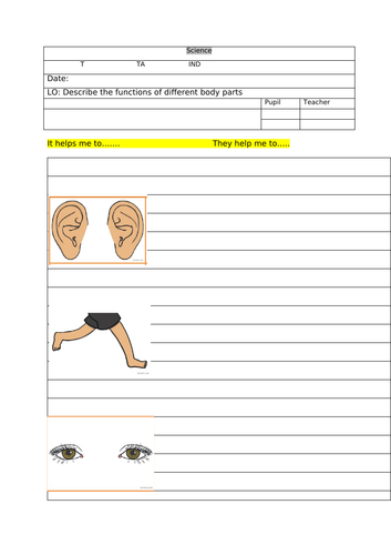 Animals including humans KS1 lessons and worksheets. | Teaching Resources