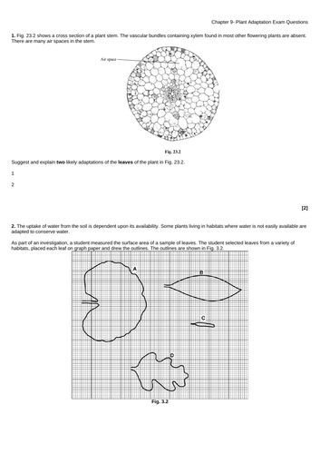 OCR Biology A- 9.5 Plant Adaptations to Water Availability | Teaching ...