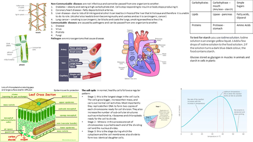 GCSE AQA Biology Paper 1 Sheet | Teaching Resources