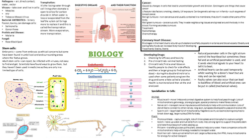 GCSE AQA Biology Paper 1 Sheet | Teaching Resources