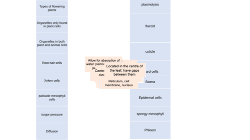 End of Topic Revision: Plant nutrition, transport and reproduction ...