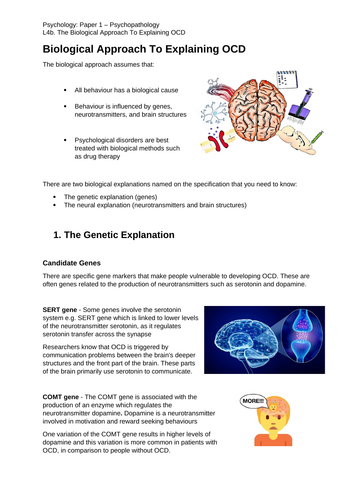 L6: Biological Explanations For OCD - Psychopathology - AQA Psychology ...