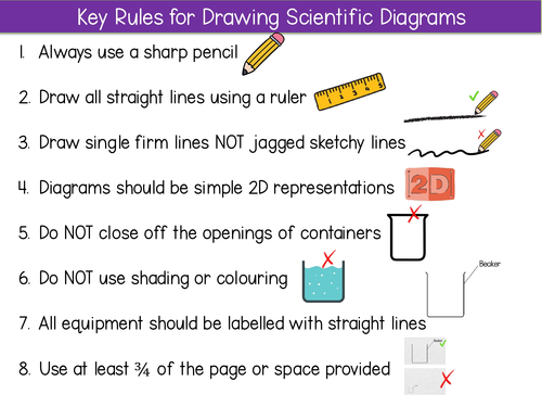 Lesson 9: Scientific Diagrams-Part of the comprehensive Science Skills ...