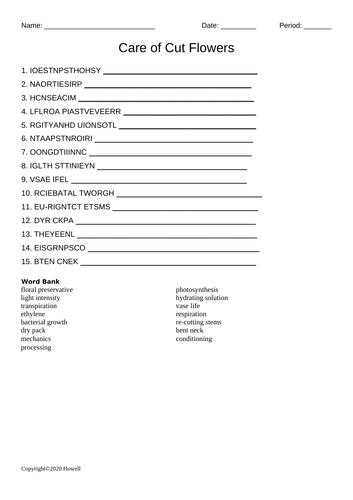 Care of Cut Flowers Word Scramble | Teaching Resources