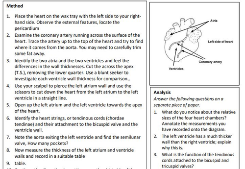 OCR A A level Biology CPAC Practical Endorsement FULL Student ...