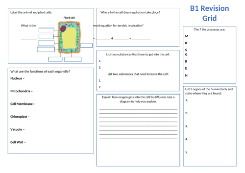 KS3 year 7 B1 cells revision grid worksheet | Teaching Resources