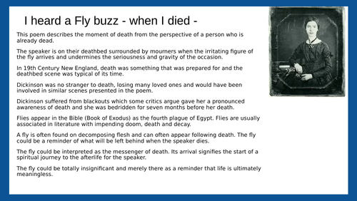 I Heard a fly buzz -Emily Dickinson CCEA A2 English Literature ...