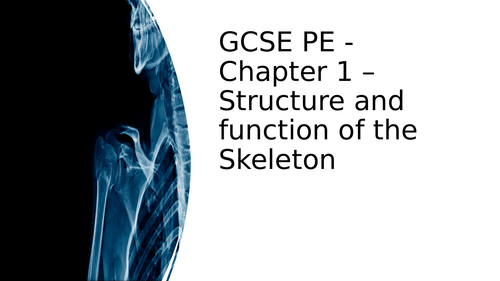 Aqa Gcse Pe Bones And Functions Of The Skeleton Teaching Resources