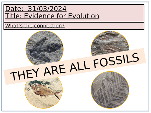 KS3 - evolution topic ( Year 8) | Teaching Resources