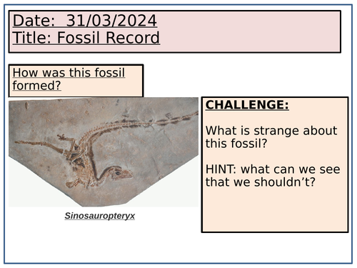 KS3 - evolution topic ( Year 8) | Teaching Resources
