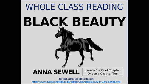 Black Beauty Reading Comprehension - Lesson 1! | Teaching Resources