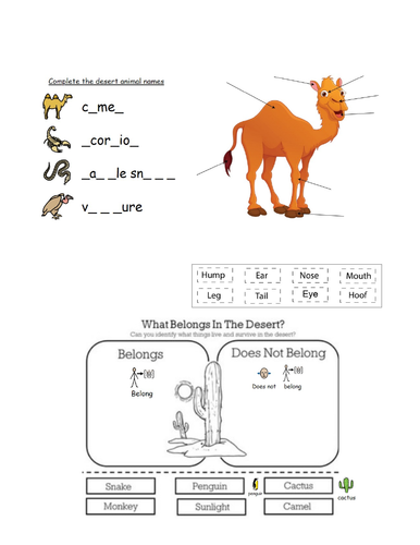 ESL-friendly identifying desert animals | Teaching Resources