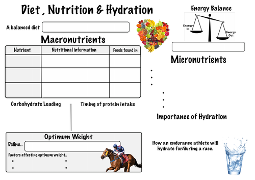 Diet and Nutrition GCSE PE (Edexcel) Revision Sheet | Teaching Resources
