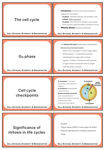 OCR 'A' A-level Biology Module 2 Revision Flashcards | Teaching Resources