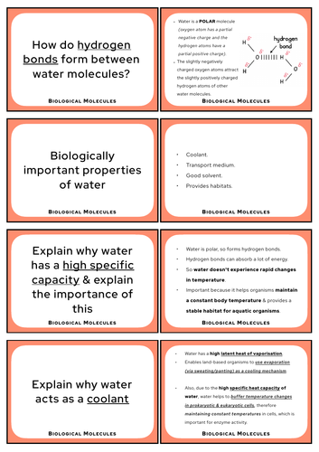OCR 'A' A-level Biology Module 2 Revision Flashcards | Teaching Resources