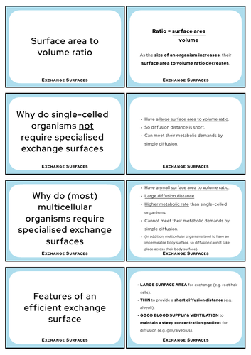 OCR 'A' A-level Biology Module 3 Revision Flashcards | Teaching Resources