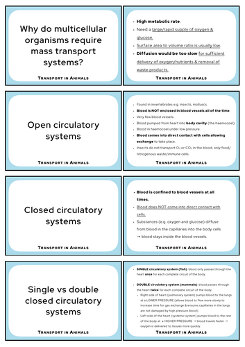 OCR 'A' A-level Biology Module 3 Revision Flashcards | Teaching Resources