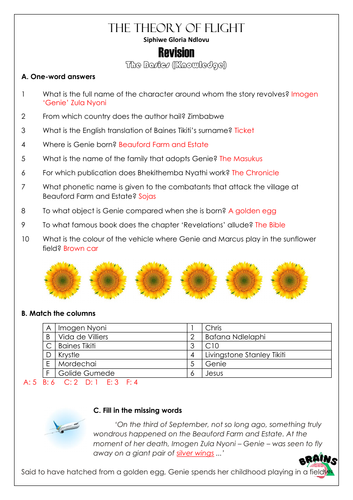 'The Theory of Flight' (Siphiwe Ndlovu) Revision Basics | Teaching Resources