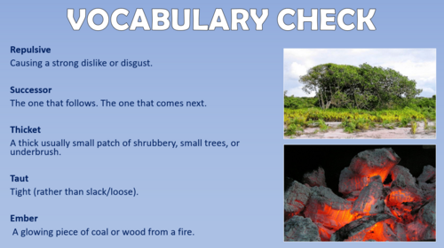 I am David - Anne Holm - Chapter 1 - Double Lesson! | Teaching Resources