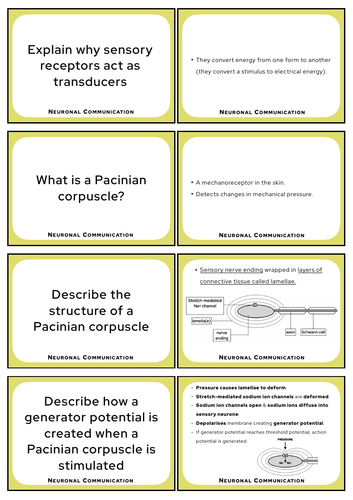 OCR 'A' A-level Biology Module 5 Revision Flashcards | Teaching Resources