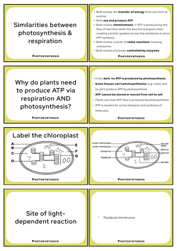 OCR 'A' A-level Biology Module 5 Revision Flashcards | Teaching Resources