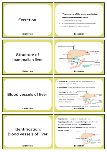 OCR 'A' A-level Biology Module 5 Revision Flashcards | Teaching Resources