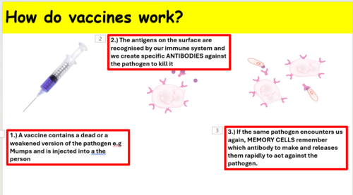 Vaccinations GCSE Biology | Teaching Resources Vaccinations GCSE Biology | Teaching Resources