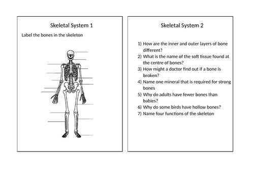 KS3 The Body Quick Quiz | Teaching Resources