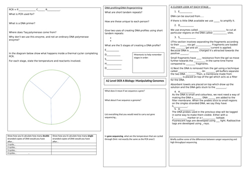 OCR A Biology A Level Manipulating genomes revision A3 worksheet ...