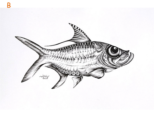 Fish Project - Lesson 1 - Fine-liner artist study on J Vincent Scarpace ...
