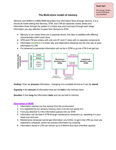 A-Level Psychology AQA - Paper 1 Memory notes | Teaching Resources