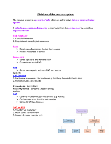 A-Level AQA Psychology - Paper 2 Biopsychology | Teaching Resources